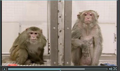 Anti-Aging in the Media: New York Times on Caloric Restriction and ...